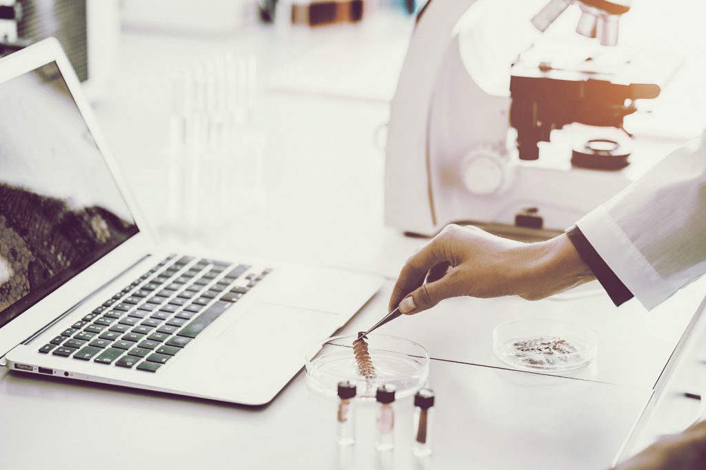 Best Online Master's in Biomedical Engineering - Online Schools Report