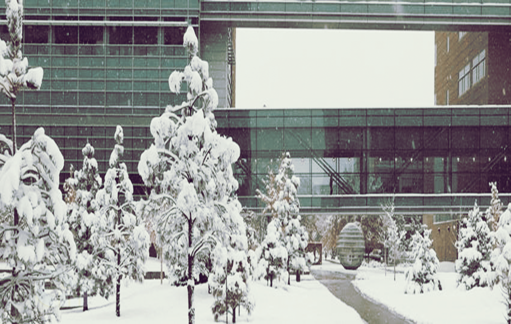 University of Colorado Denver/Anschutz Medical Campus - Online Schools ... University of Colorado Denver/Anschutz Medical Campus - Online Schools ...