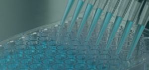 What Does ALCOA Stand for in Clinical Research? - Online Schools Report