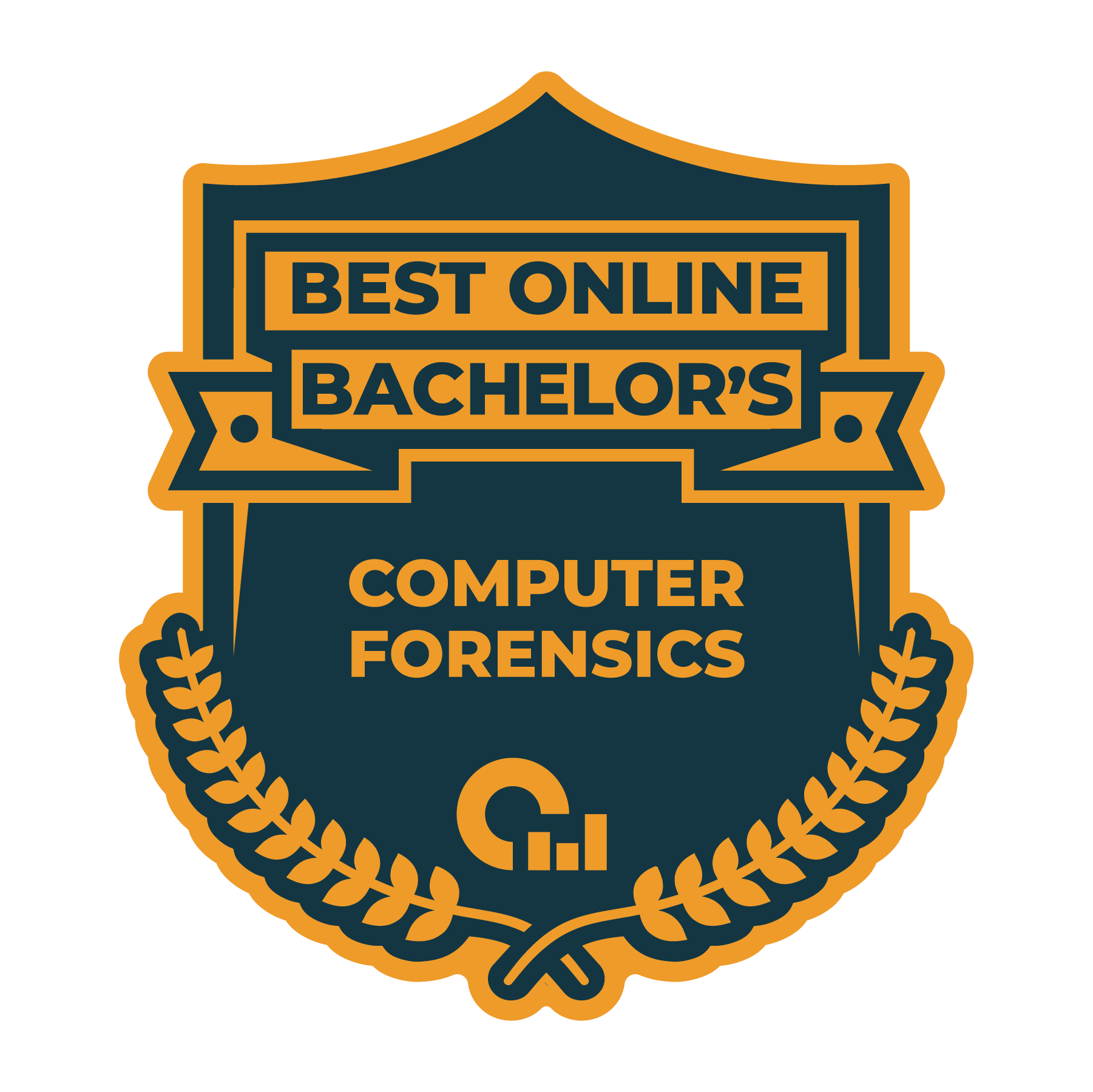15 Best Online Bachelor's in Computer Forensics 2023 - Online Schools ...